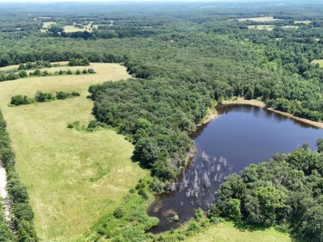 Maries Rd # 504, Dixon, MO 65459
