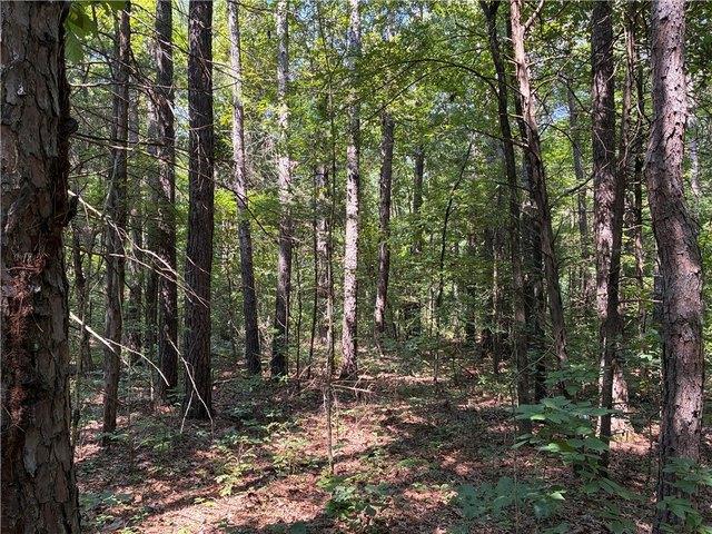 Marion County 6025 Bald Jesse Lot 14, Yellville, AR 72687