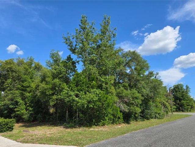 Marion Oaks Dr, Ocala, FL 34473