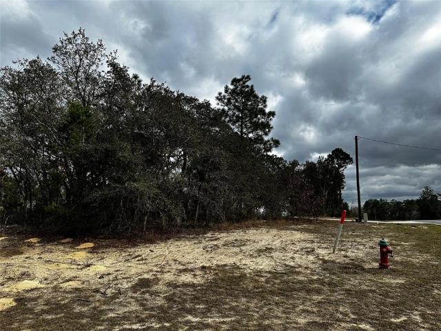 Marion Oaks Manor, Ocala, FL 34473 | MLS #TB8496