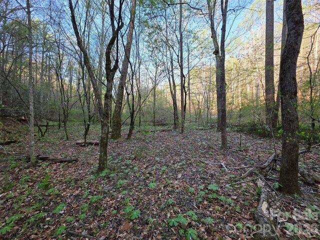 Marion NC 28752 104901772