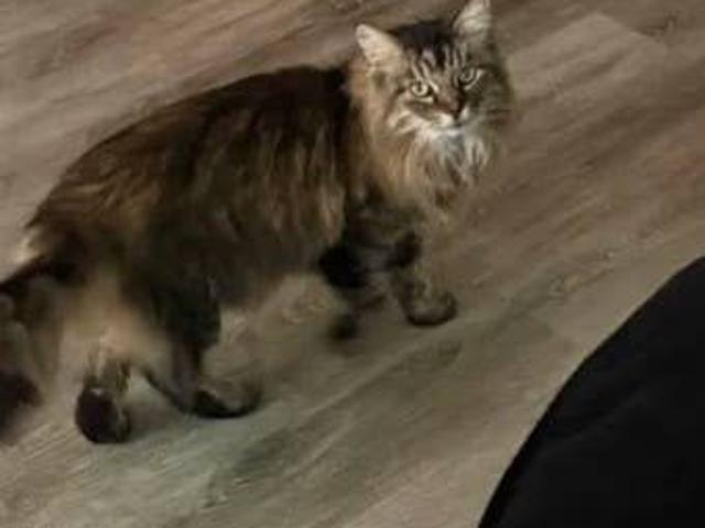 Marina del Rey Available Jan 1st