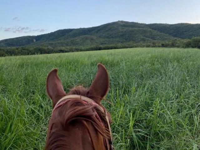 MARIVILHOSA FAZENDA COM 60 HECTARES