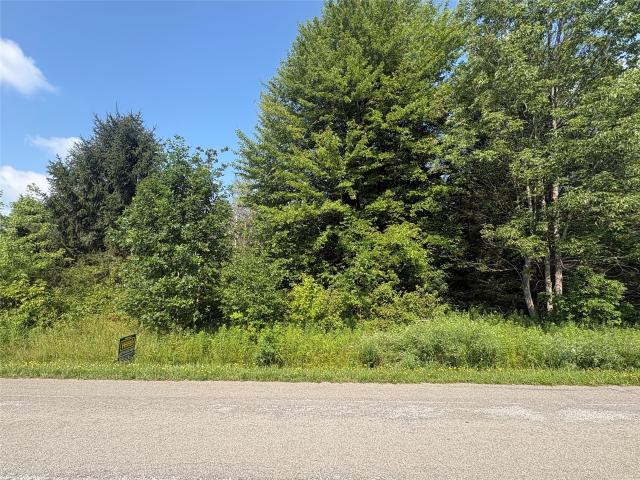 Mark road