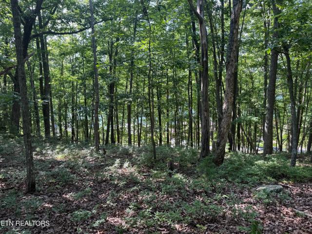 Markham Lane, Fairfield Glade, TN 38558