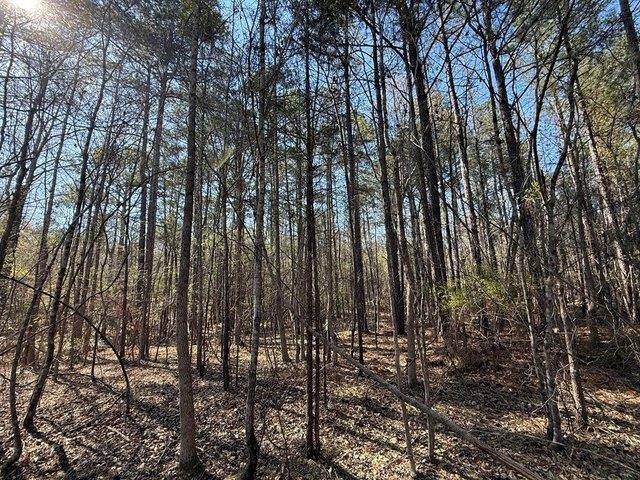 Markham Rd, Bradley, SC 29819