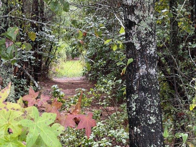 Markham Rd, Ridgeville, SC 29472