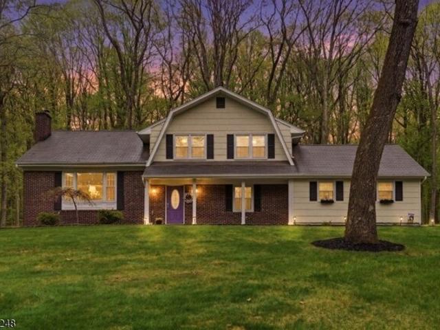 Marla Ter, Roxbury Township, Home For Sale