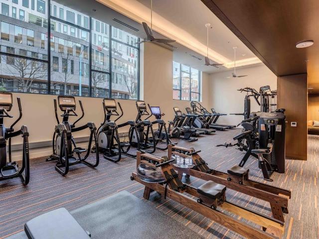Marlowe 1 Bedroom Apartment for Rent at 1146 Harrison St, Seattle, WA 98109 South Lake Union