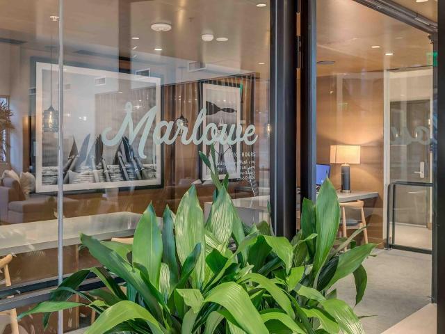Marlowe 1 Bedroom Apartment for Rent at 1146 Harrison St, Seattle, WA 98109 South Lake Union