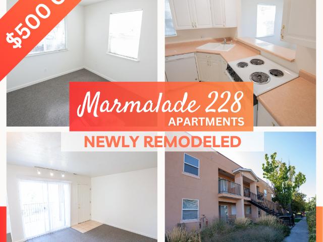 Marmalade 228