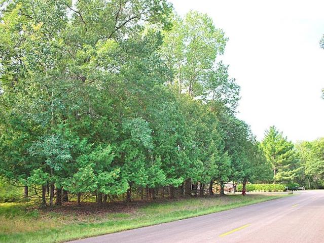 Marohn Rd, Baxter, MN 56425