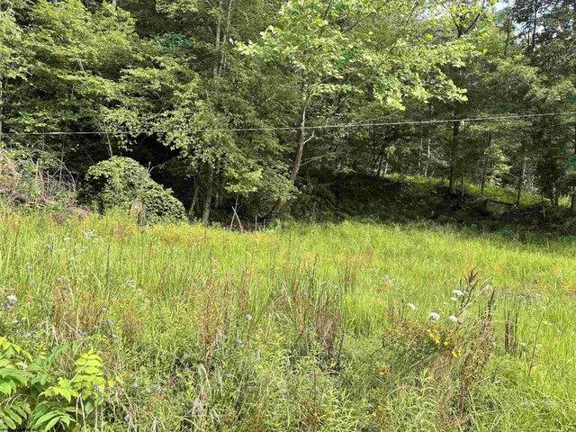 Marquess Rd, Tunnelton, WV 26444