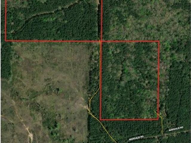 Marsalis Rd, Homer, LA 71040