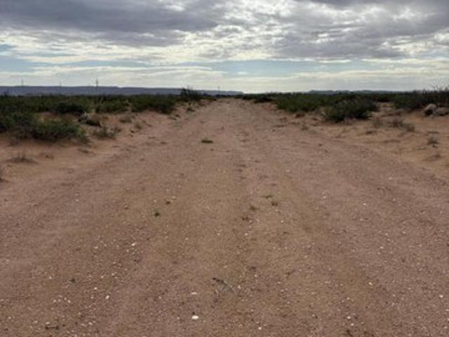 Marsh Ave, El Paso, TX 79928