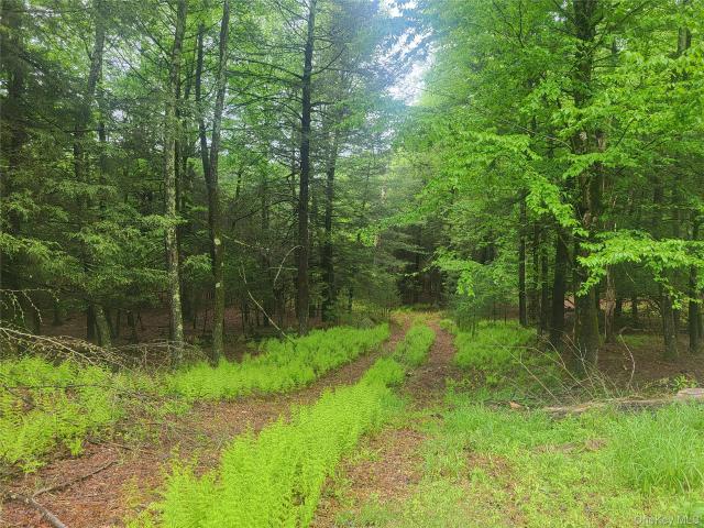 Marsh Rd
