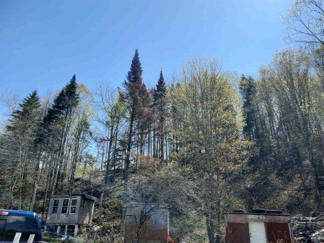 Marsh Rd, Columbia, Plot For Sale