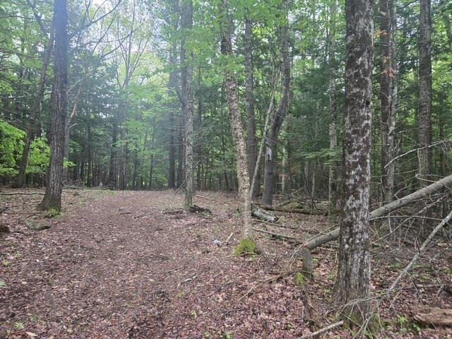 Marshall Valley Rd, Windham, Plot For Sale
