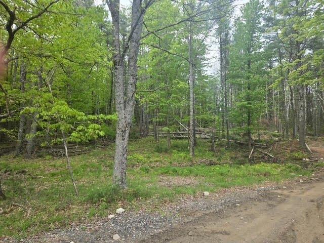 Marshall Valley Rd, Windham, Plot For Sale