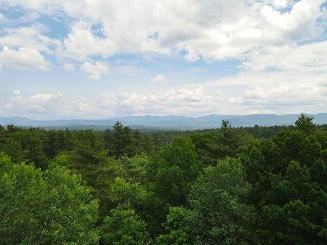 Marshall Phillips Rd, Brandon, Plot For Sale