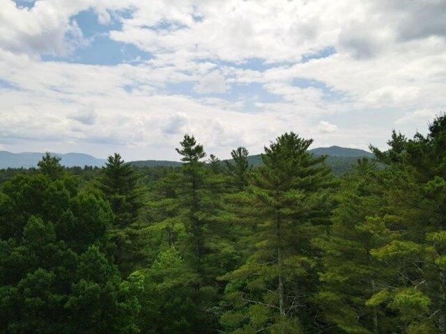 Marshall Phillips Rd, Brandon, Plot For Sale