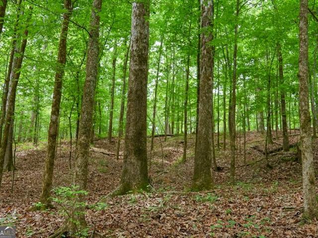 Marshall Rd, Buckhead, GA 30625