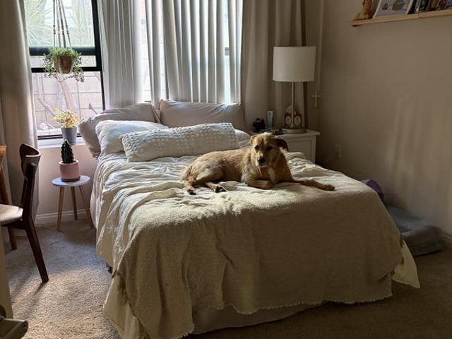 Master bedroom in 2B2B Apt