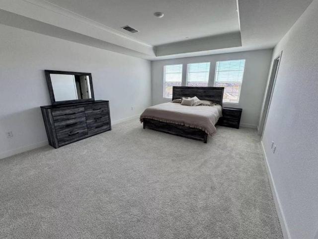 Master Bedroom Private Bathroom