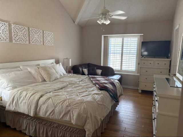Master or regular Room for rent