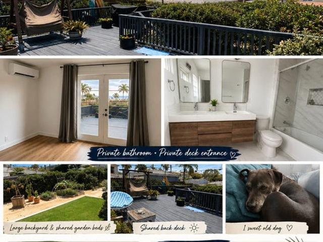 Master Suite for Rent: Ocean Beach / Sunset Cliffs