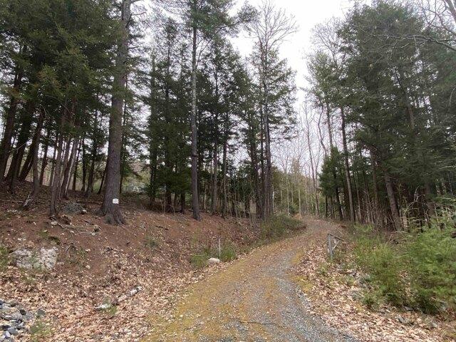 Mastin Rd, Sutton, Plot For Sale