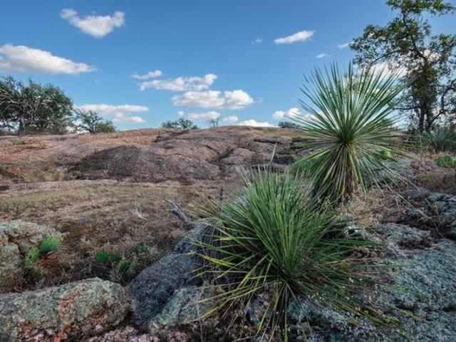 Mason, TX 76842