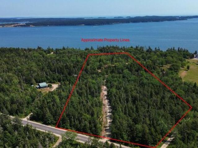 Mason Bay Rd, Jonesport, Plot For Sale