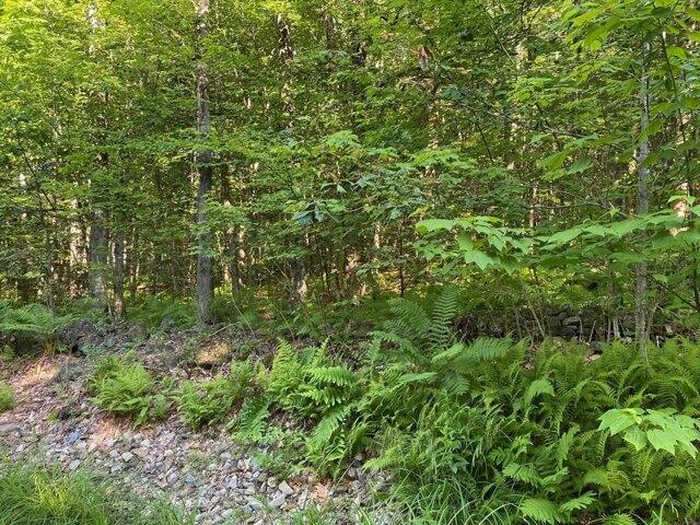 Mason Rd Lot, Milton, Plot For Sale