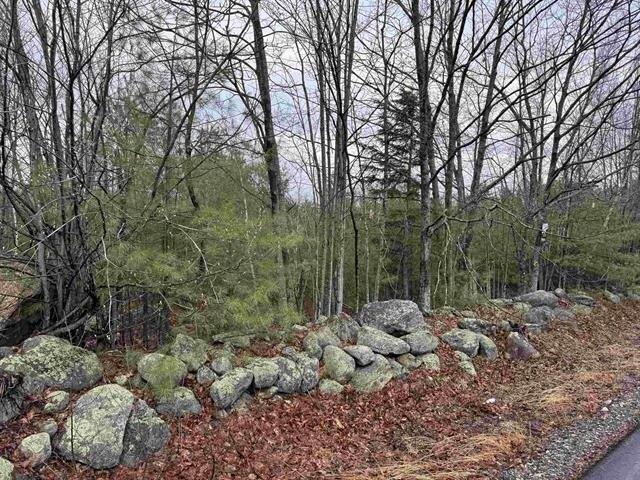 Mason Rd, Milton, Plot For Sale