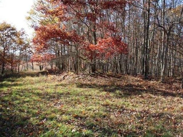 Masontown WV 26542 104902560