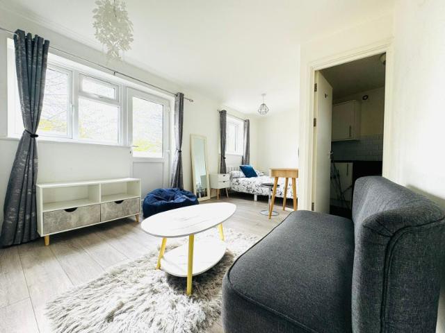 Massive Studio – E7 Forest Gate Zone 3
