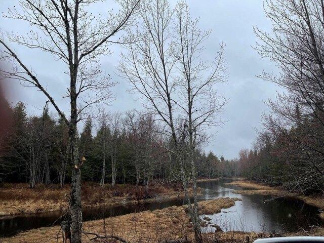 Mattamiscontis Rd, Howland, Plot For Sale