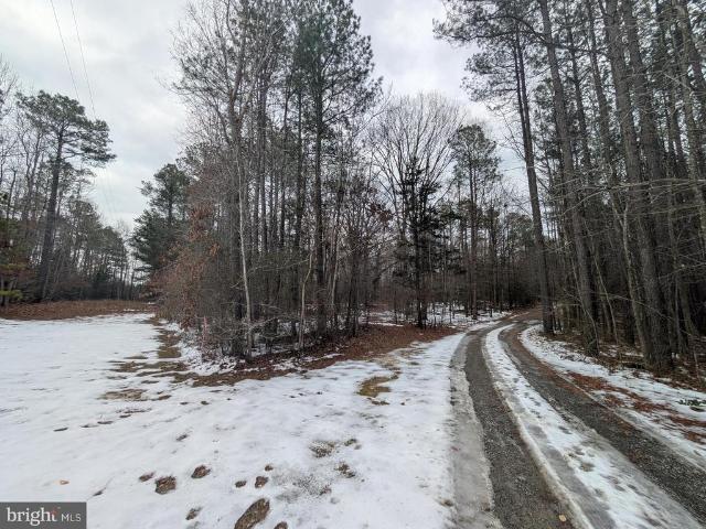 Mattaponi Trail