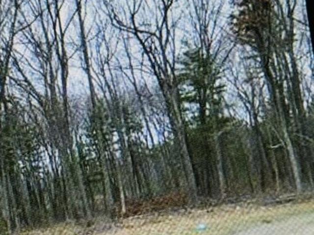 Matthew Ln, Windsor, Plot For Sale