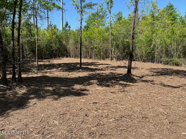 Matthews, Tylertown, MS 39667