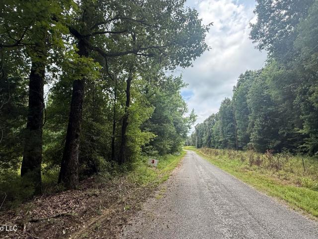 Matthews Drive, Byhalia, MS 38611