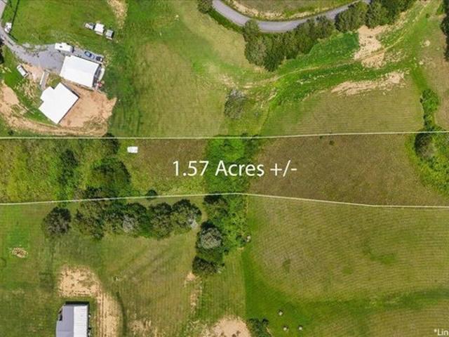 Matthews Loop, Mohawk, TN 37810