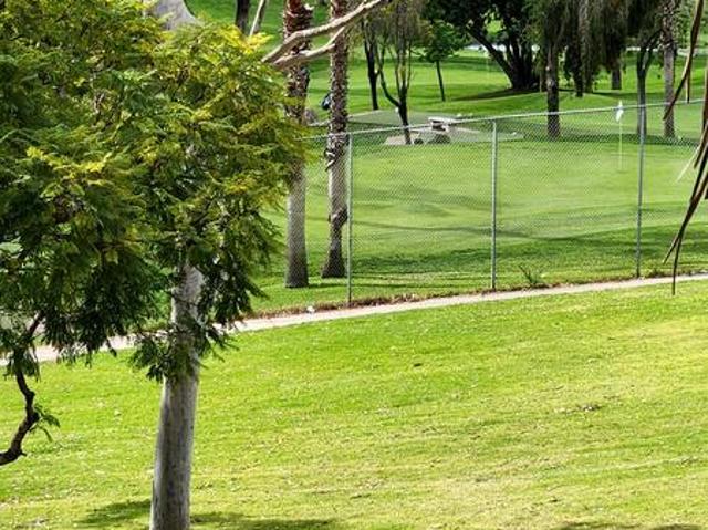 Mature female looking for peaceful place to rest from work