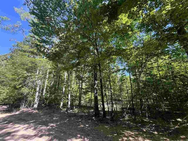 Matz Rd, Boyne Falls, MI 49713