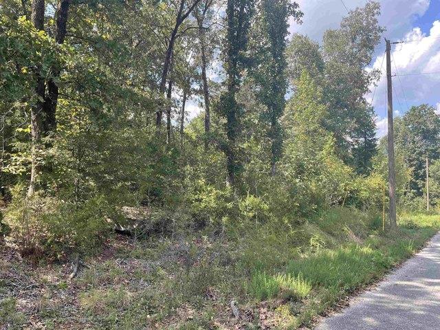 Maters Ln, Mountain View, AR 72560