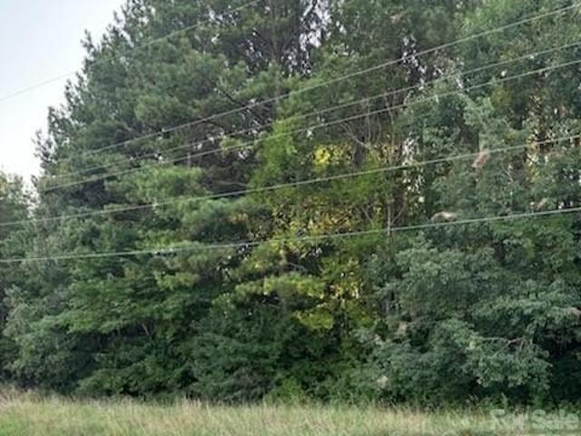 Mathis Church Rd Lot 1, Catawba, NC 28609