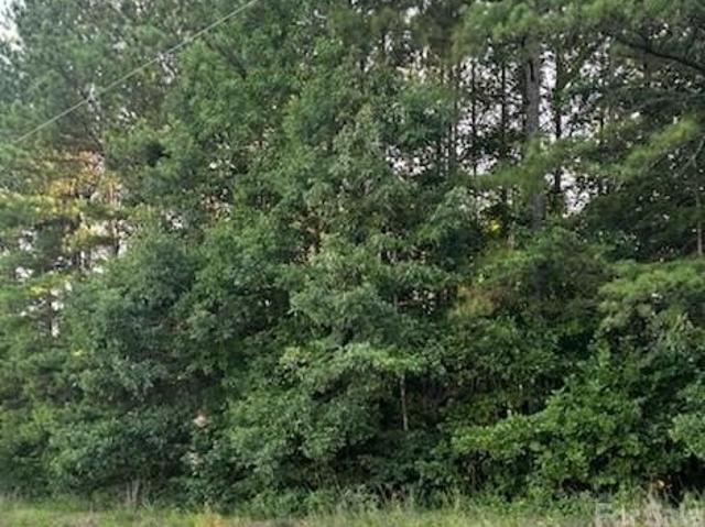 Mathis Church Rd Lot 2, Catawba, NC 28609