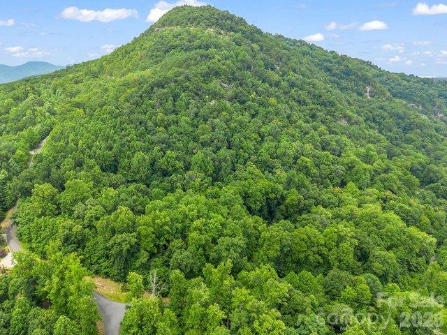 Matho Trce Lot 29, Lake Lure, NC 28746