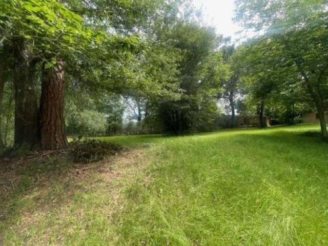 Matilda Dr, Troup, TX 75789